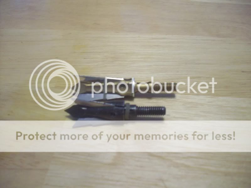 Rocket Steelhead XL's............. | Archery Talk Forum