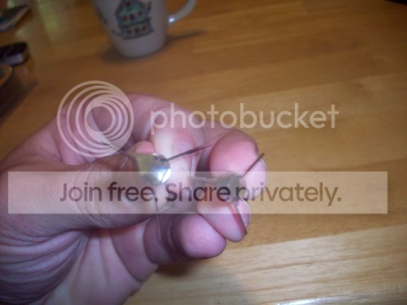 Rocket Steelhead XL's............. | Archery Talk Forum