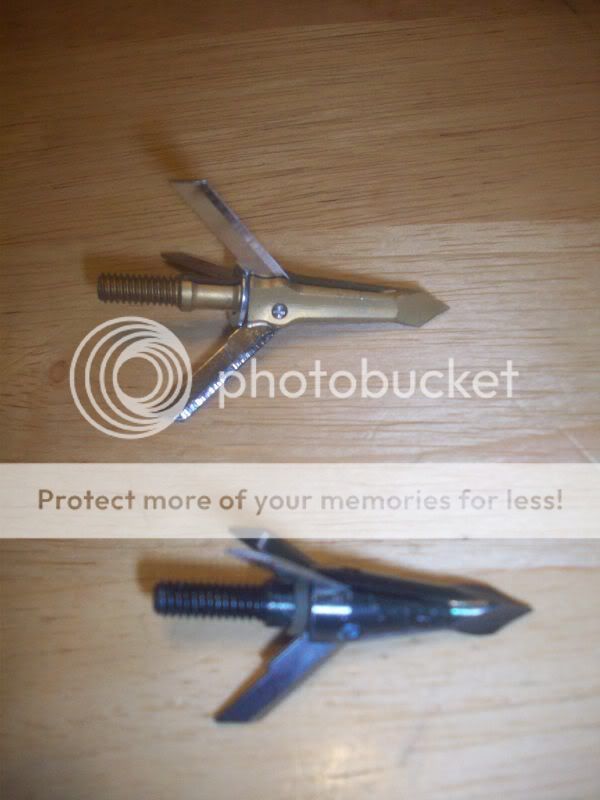 Rocket Steelhead XL's............. | Archery Talk Forum