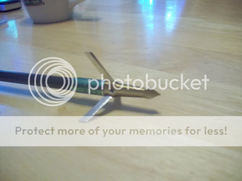 Rocket Steelhead XL's............. | Archery Talk Forum