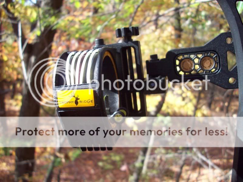 NY911Treestand Picture Thread | Archery Talk Forum