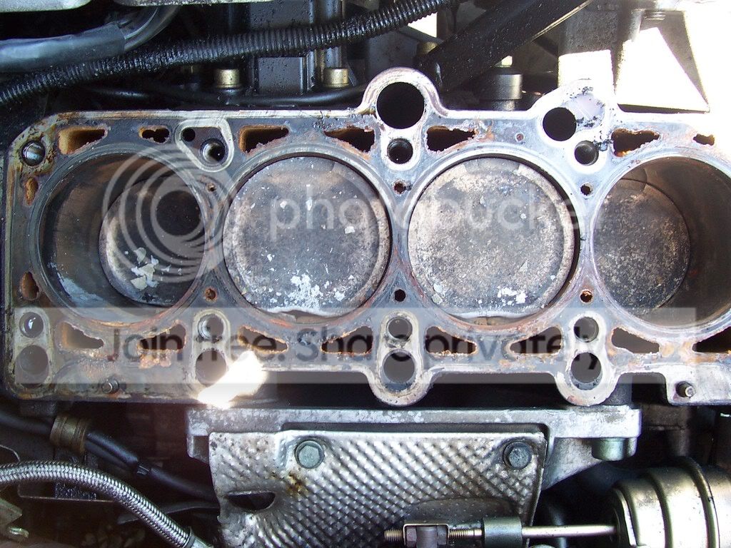Decided to finally look at the damage. | VW Vortex - Volkswagen Forum
