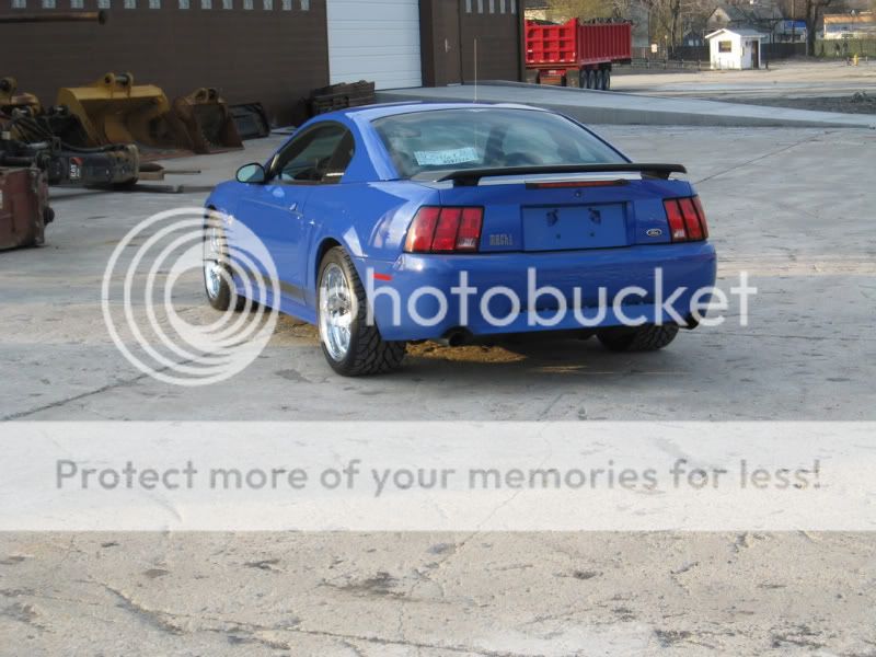 cobra r spoiler for my 01 cobra?? | Page 2 | Modded Mustang Forums